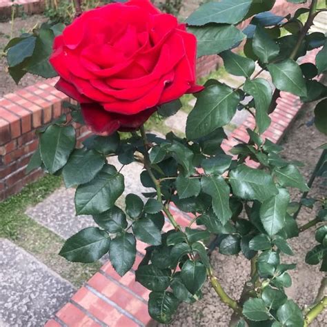 Chloe Chloe190403 • Threads Say More