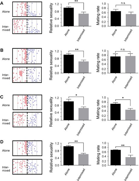 Improving The Sexual Activity And Reproduction Of Female Zebrafish With