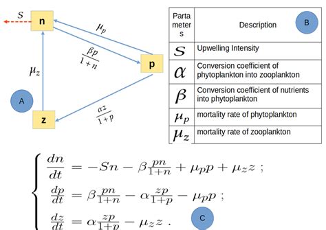 2 A Interaction Diagram Of The Npz Models Variables Download Scientific Diagram