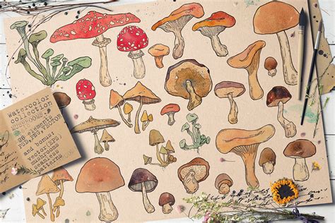 Watercolor Mushrooms Collection On Behance