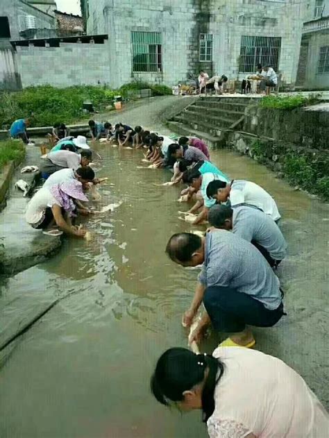 今年過中元節看了這6張照片我再也不想吃鴨子了 每日頭條