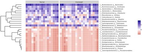 Heatmap Demonstrating The Increase Or Decrease Of Microbes At The Genus Download Scientific