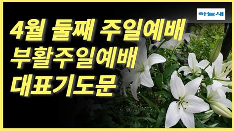 대표기도문 부활주일 대표기도대표기도모음 4월 둘째 주일예배 대표기도4월 2주대표기도 작성하는 방법주일 대표기도4월 대표기도문 Youtube
