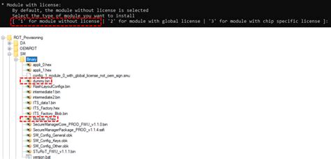 how to start with secure manager customized configuration on stm32h5