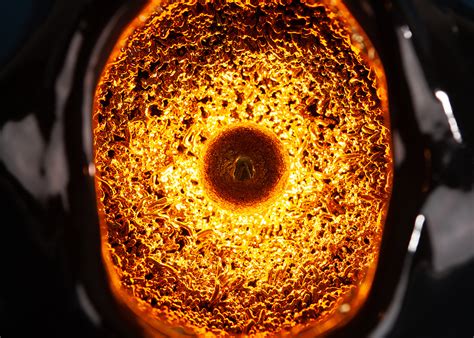 Steve By Daniel Shapiro Coup Detat