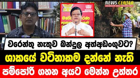 වරෙන්තු නැතුව බන්දුල අත්අඩංගුවට ශාකයේ වටිනාකම දන්නේ නැති පම්පෝරි ගහන අයට මෙන්න උත්තර Youtube