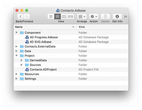 Project Databases And Components 4d Blog