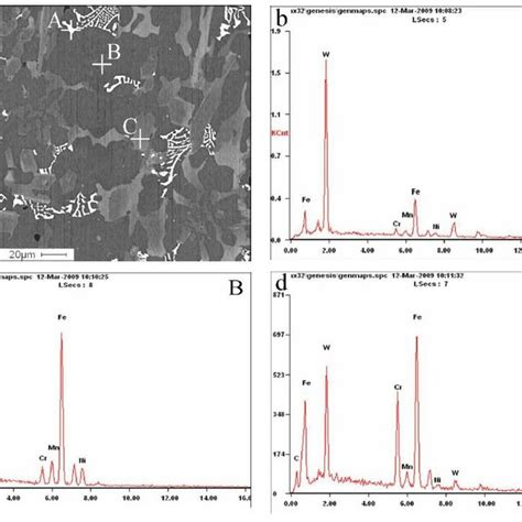 Optical Microstructures Of The Ni Wc Surface Alloyed High Manganese