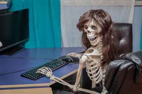 These Birds Break The Sex Binary Like It S Nothing Popular Science