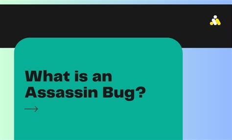 What Is An Assassin Bug Texas Bug Control What Is An Assassin Bug Texas Bug Control
