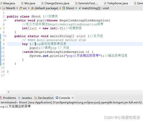 第九章 异常处理 Csdn博客