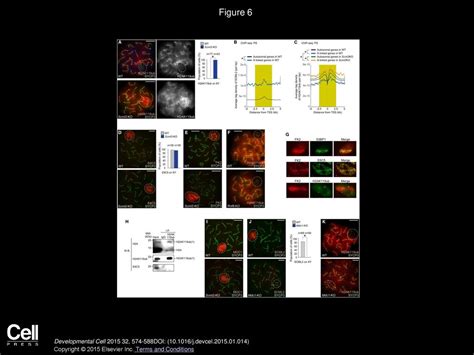 Volume 32 Issue 5 Pages March 2015 Ppt Download