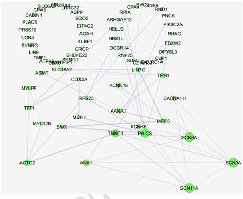 A Sub Network Contain The Nodes Which Were Not Direct Neighbors Of Six Download Scientific