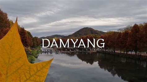 이번주에 뭐하지 더 추워지기 전에 1박2일 놀러가세요 L 광주 맛집 L 담양 단풍놀이 L 관방제림 L 먹방여행 Youtube