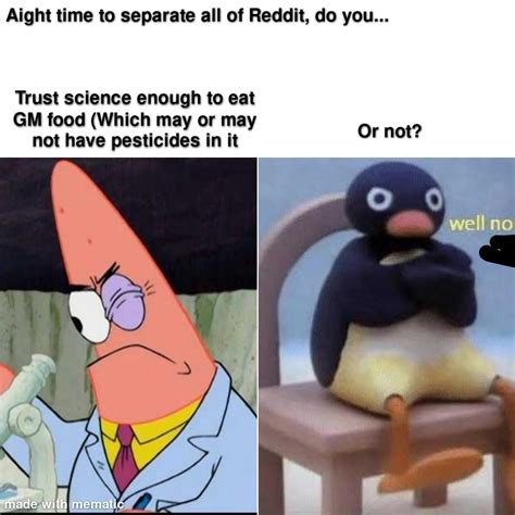 Cocoa Production Visiting A Farm With Insect Infections To No Know The Type Of Insect N