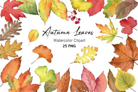 Watercolor Fall Leaves Clipart Graphic By Fineartlab · Creative Fabrica