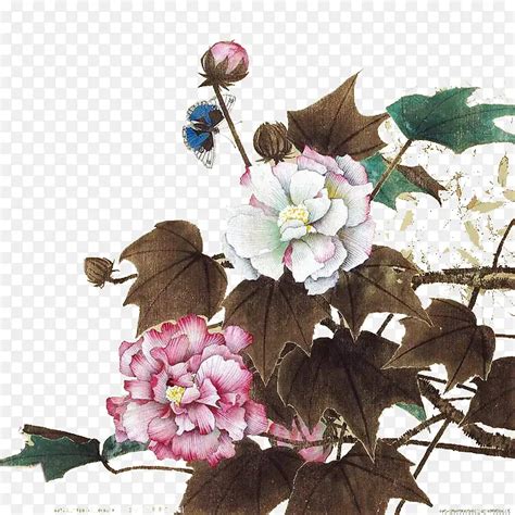 中国画木芙蓉花免扣矢量图元素PNG图片素材下载 图片编号yjoxrjxq 免抠素材网