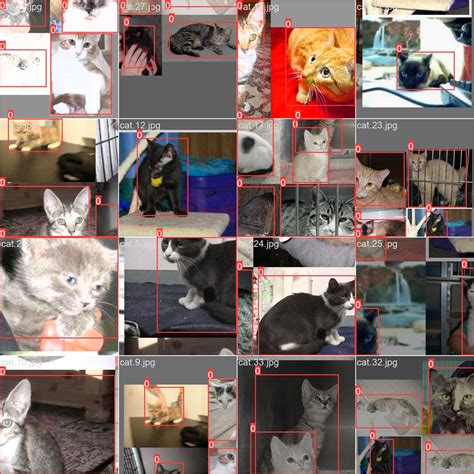 在cpu上进行完整版yolov5项目跟练记录yolo可以用cpu跑吗 Csdn博客