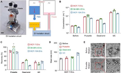 Pulsatile Filtration Of Evs By A Microfluidic Ev Isolation Circuit A Pulsatile Filtration Of Evs By A Microfluidic Ev Isolation Circuit A