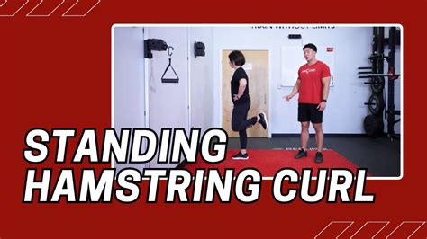 Standing Hamstring Curl Cable Machine Exercise Youtube
