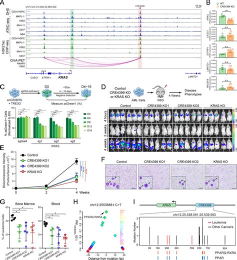 Non Coding Variants Connect Enhancer Dysregulation With Nuclear Receptor Signaling In Non Coding Variants Connect Enhancer Dysregulation With Nuclear Receptor Signaling In
