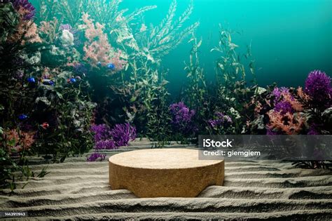 3d 렌더링 Abstact 무대 연단 배경 수중 배경의 파도 모래 위에 둥근 연단 해초 산호 물고기 및 제품 전시를 위한 빛