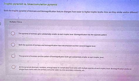 Trophic Pyramid Vs Bioaccumulation Pyramid Both The Trophic Pyramid Of