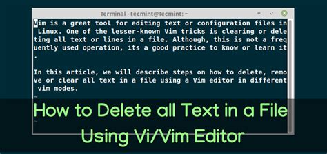 Cara Menghapus Semua Teks Dalam File Menggunakan Editor Vivim Ilinuxgeek