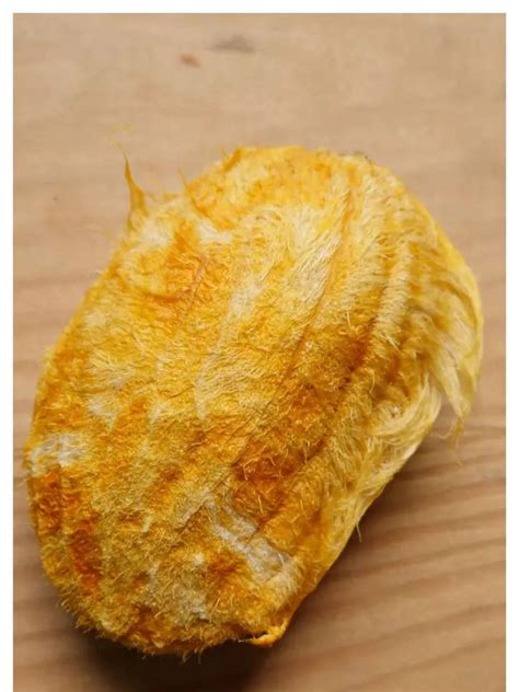 Flushed Mango Seed At John Mcginnis Blog