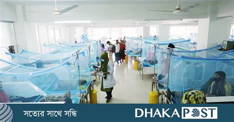 ডেঙ্গুতে ১০ জনের মৃত্যু হাসপাতালে ভর্তি ২৩৬১