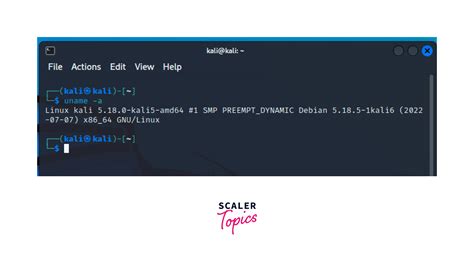 How To Install Kali Linux In VirtualBox Scaler Topics