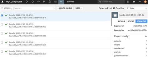 Continuous Integration And Continuous Deployment Cicd In Dataiku Dss
