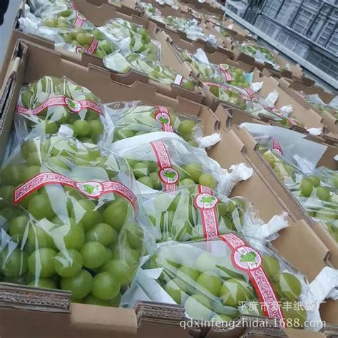 葡萄套袋 可定制 无纺布包装袋水果袋 质量好 大量库存 欢迎详询 阿里巴巴