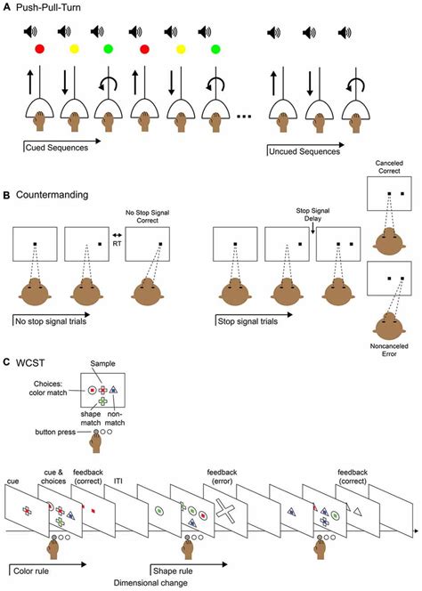 What Is Push Pull Rule The 40 Rule A Navy SEAL S Secret To Mental Toughness 2019 01 15
