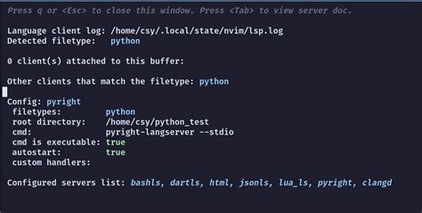 pyright could not attach to the buffer · issue 547 · ayamir nvimdots