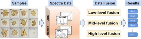 通过激光诱导击穿光谱和拉曼光谱结合深度学习的数据融合快速鉴定黄芪 Talanta X Mol