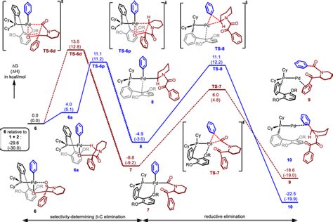 Pes For The β Carbon Elimination And Reductive Elimination Steps Download Scientific Diagram