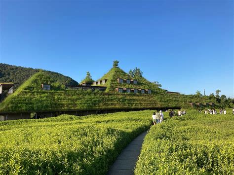 Yassun Yassun564 • Instagram Photos And Videos