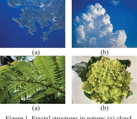 Figure 1 From A Method For Automatic Generation Of 3d Background Models Using Fractal Models And