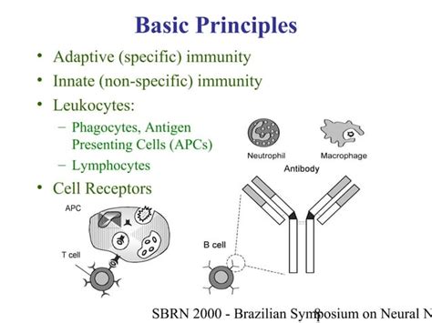 2000 Artificial Immune Systems Theory And Applications Ppt