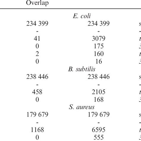 Comparison Of The Performance Of SmORFer And RibORF In Detecting SmORFs