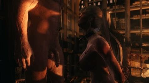 Slal Sexlab Standard Animations Framework And Resources Loverslab