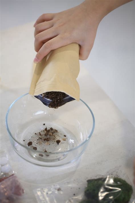 테라리움 이끼 만들기 키트 나만의 작은 숲 네이버 블로그