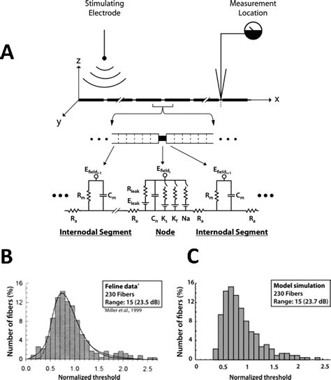 Figure 1 From Simulating Electrical Modulation Detection Thresholds Using A Biophysical Model Of