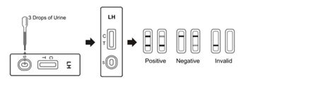 Ovulation Test Cassette Glucona Biomed