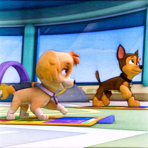 Skye And Chase Skye And Chase Paw Patrol Fan Art Fanpop