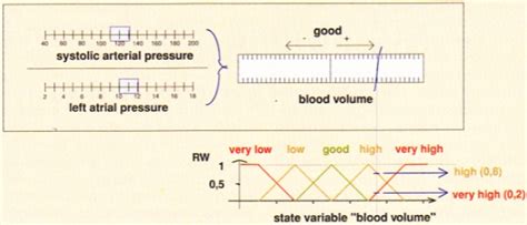 Principle Of Fuzzy Rule Extraction Download Scientific Diagram