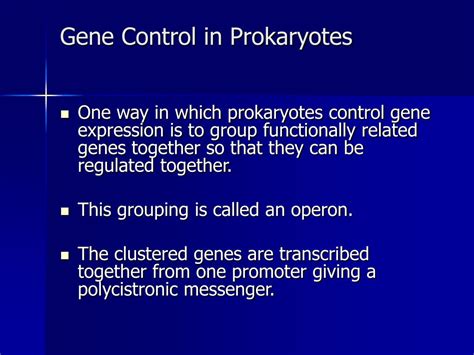 Ppt Gene Expression In Prokaryotes Powerpoint Presentation Free Download Id 484047