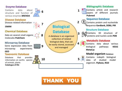 Compunational Biology And Databases In Bioinformaticspptx
