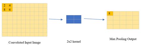 Illustration Of Function Performed By Kernel In Max Pooling Layer For